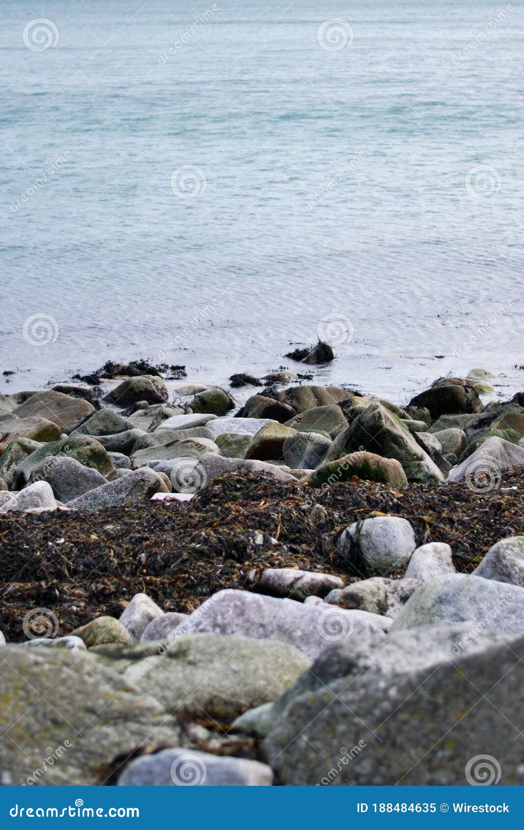 Rocky Beach and the Beautiful Calm Gleaming Ocean Stock Image - Image ...