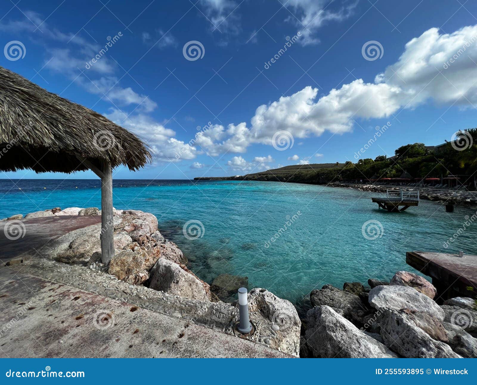 Rocky Beach on a Clear Sunny Day Stock Image - Image of vegetation ...