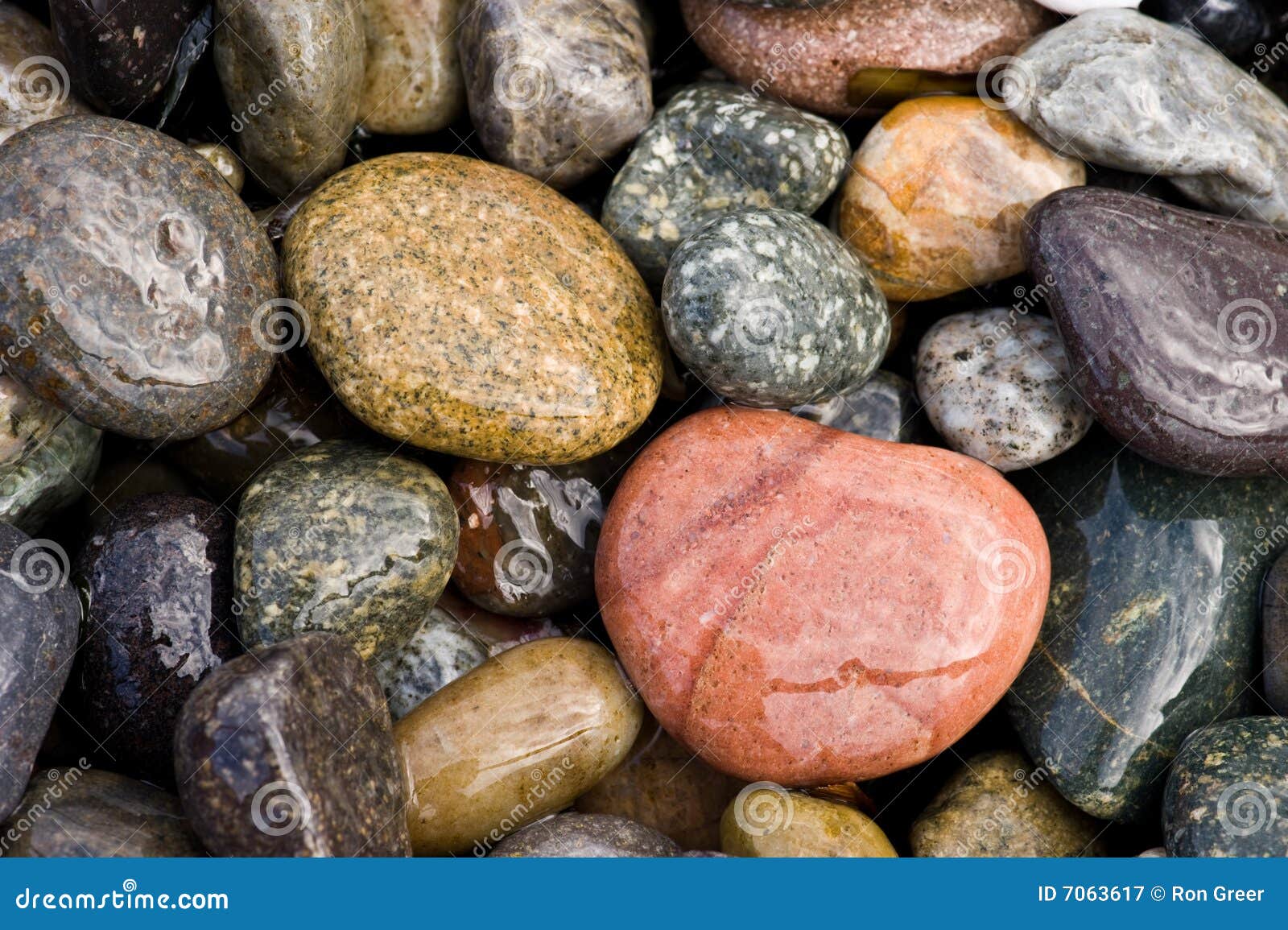 Rocky beach detail stock image. Image of rocks, puget - 7063617