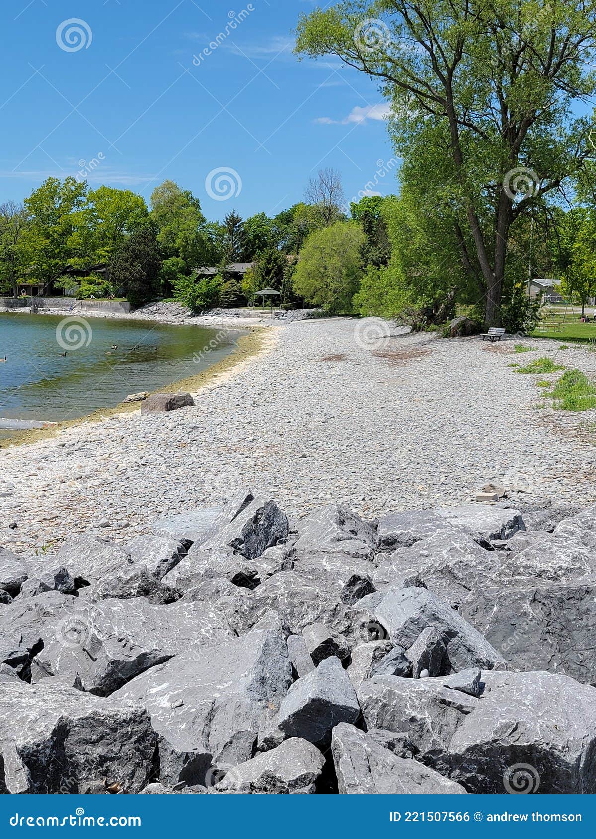 A Rocky Beach on Lake Ontario Stock Photo - Image of lake, geology ...