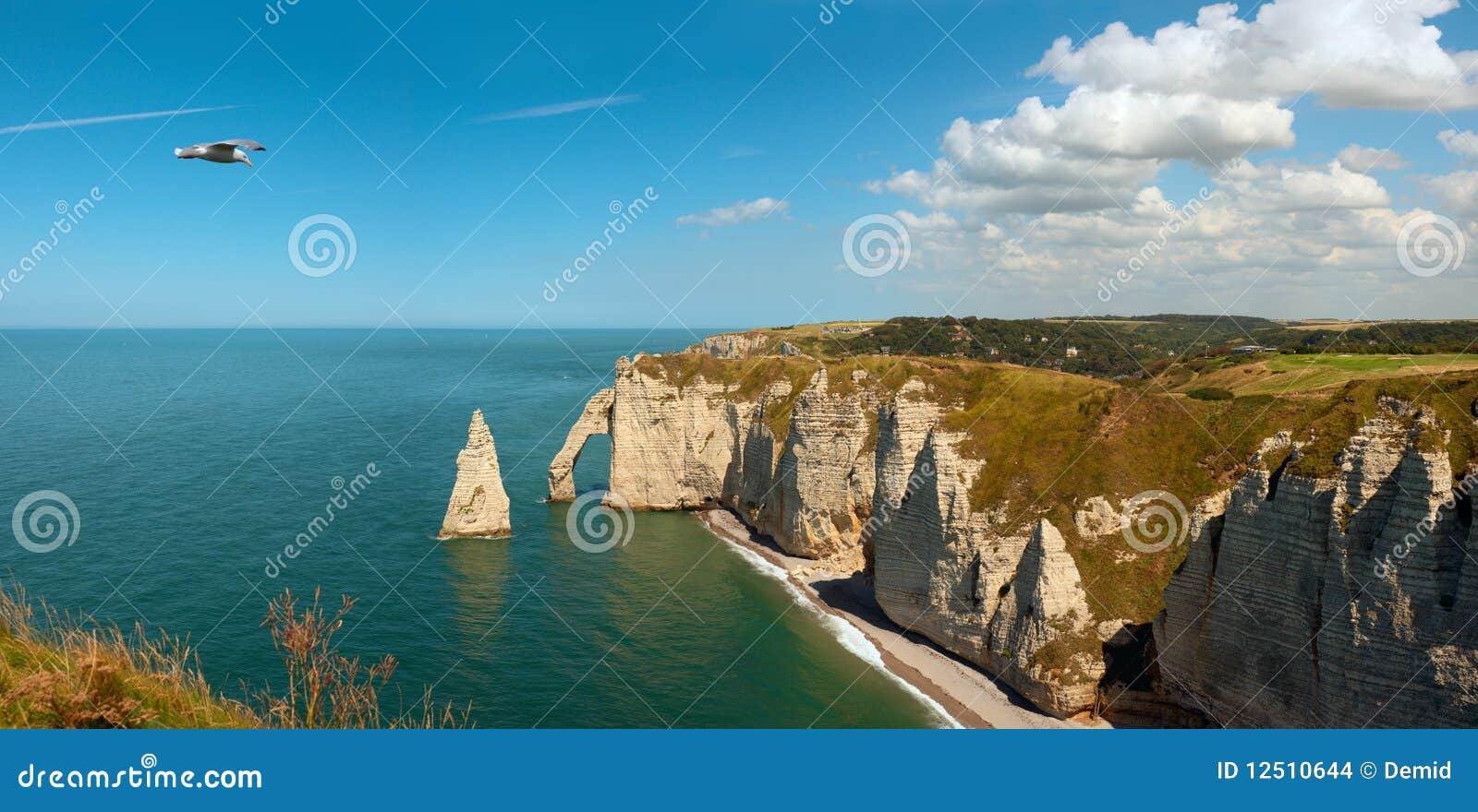 1,161 Normandy Forest Stock Photos - Free & Royalty-Free Stock Photos ...