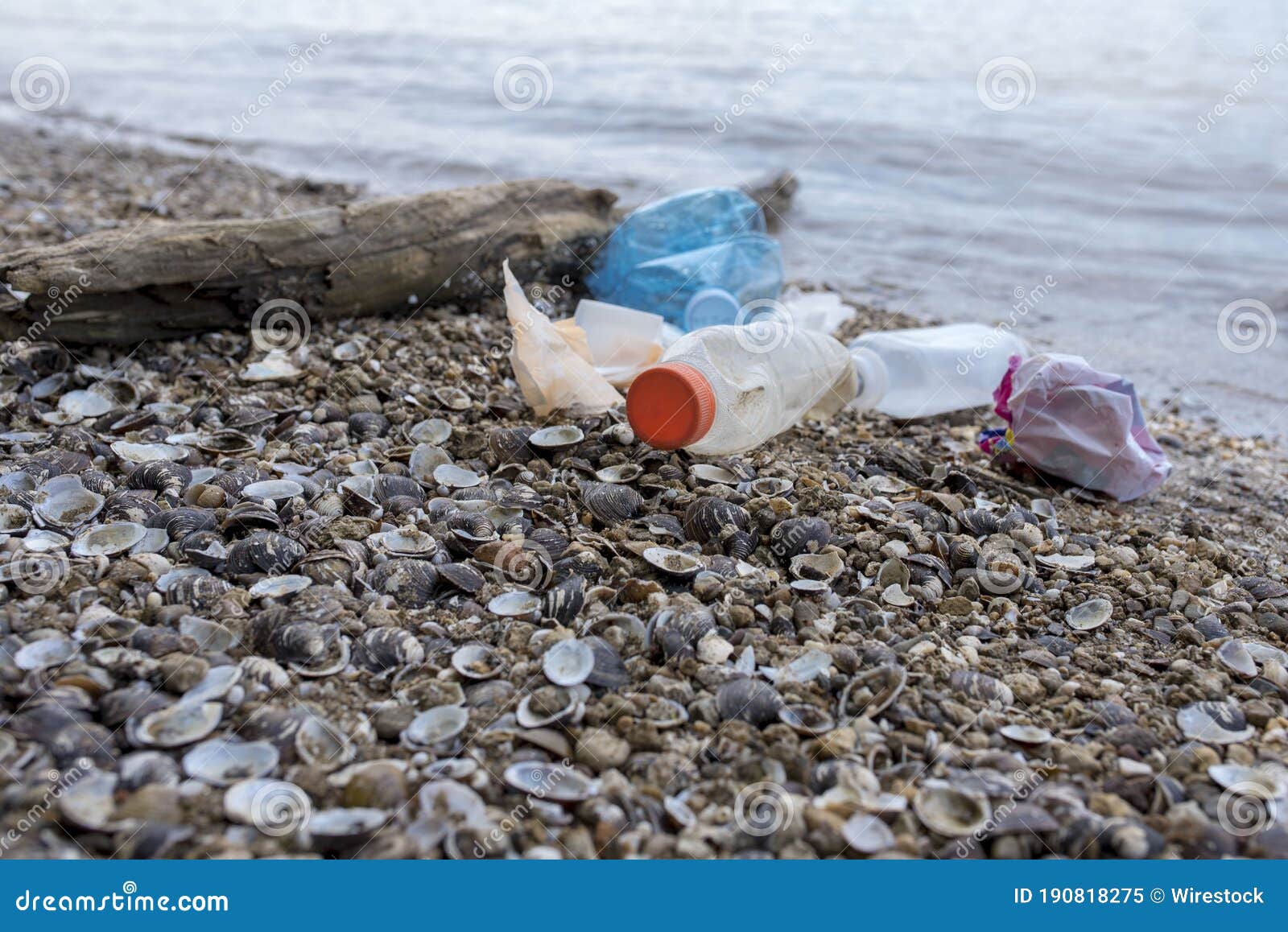 Rocky Beach with Plastic Pollution - Environmental Pollution Concept ...