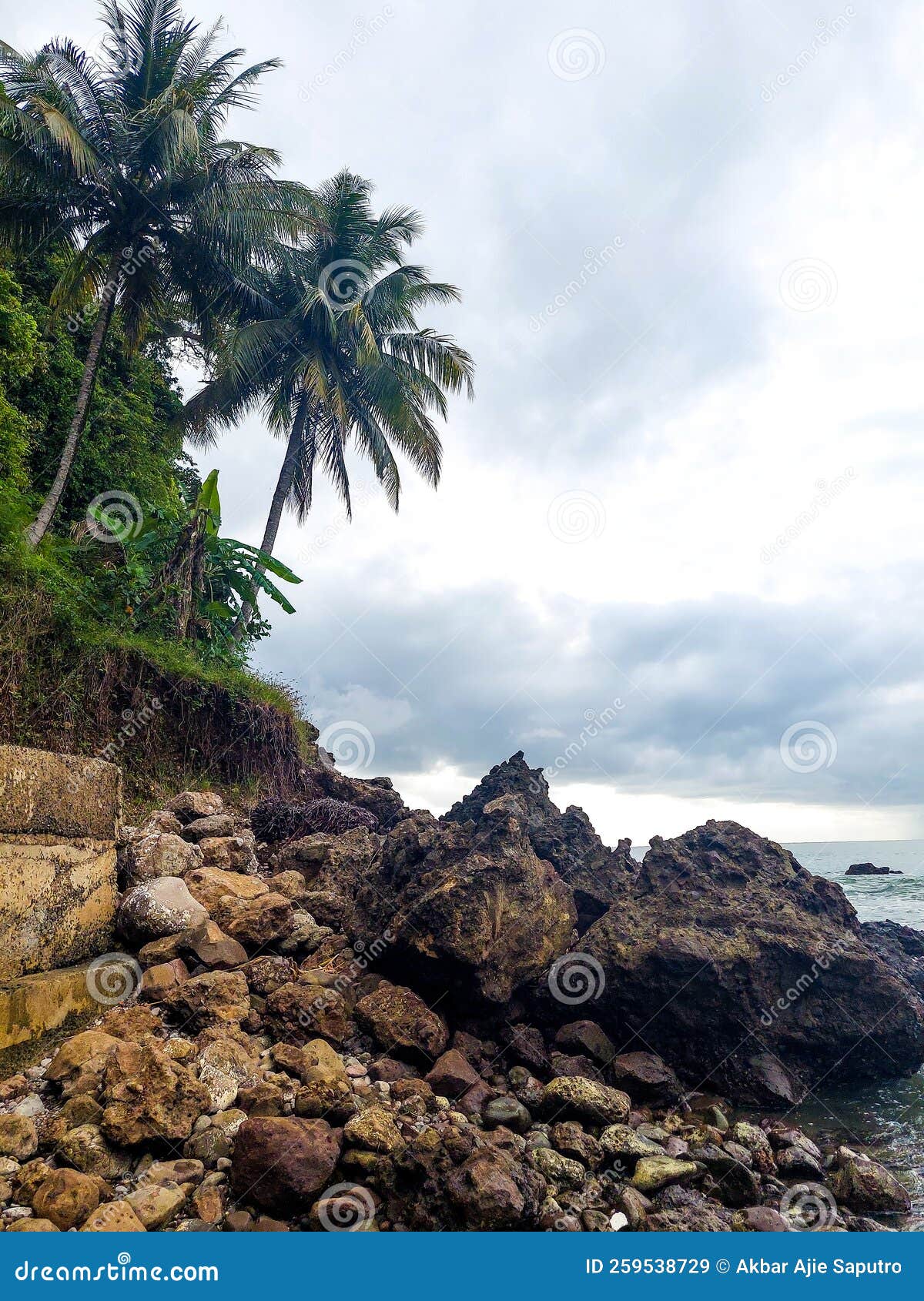 Rocky Beachfront View with Coconut Trees. Stock Image - Image of tree ...