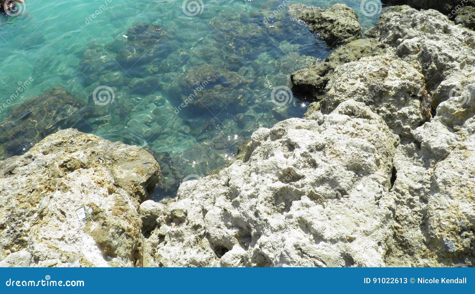 Rocky bottom of the ocean stock image. Image of coast - 91022613