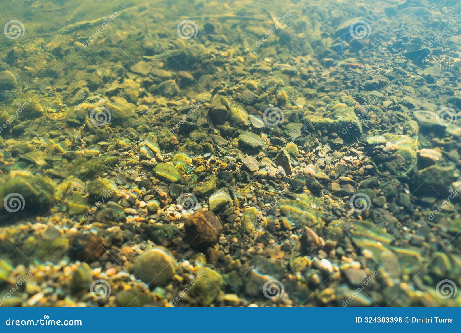 Rocky Bottom of the Pirita River, Underwater Photo Stock Photo - Image ...