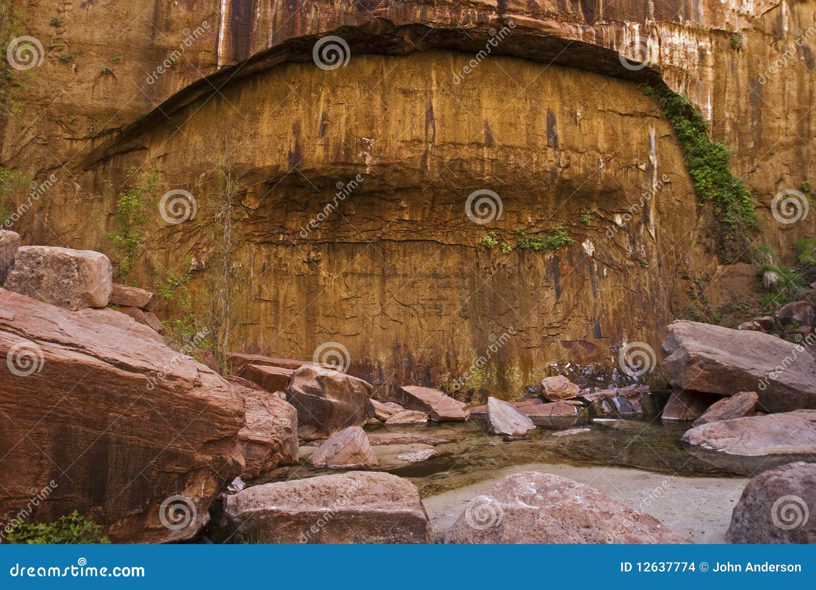 Rocky canyon wall stock photo. Image of utah, landscape - 12637774