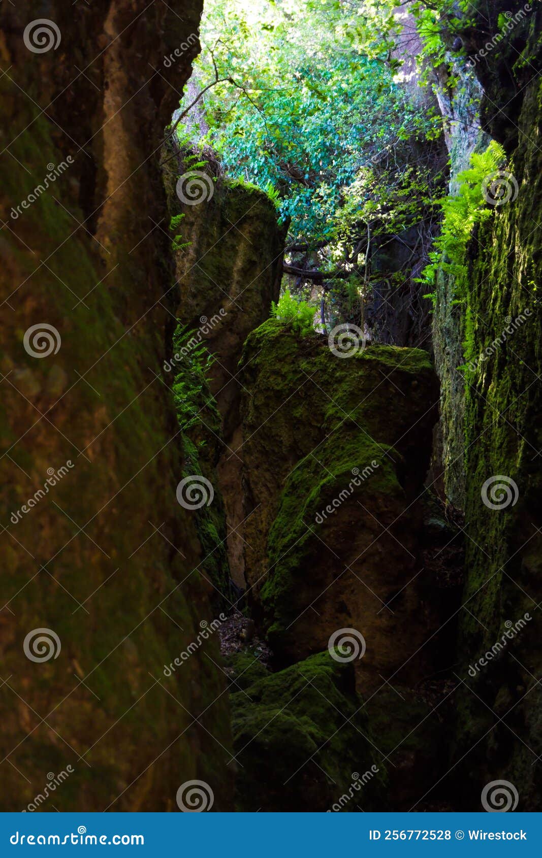 Rocky Cave Covered with Moss Stock Photo - Image of light, mountain ...
