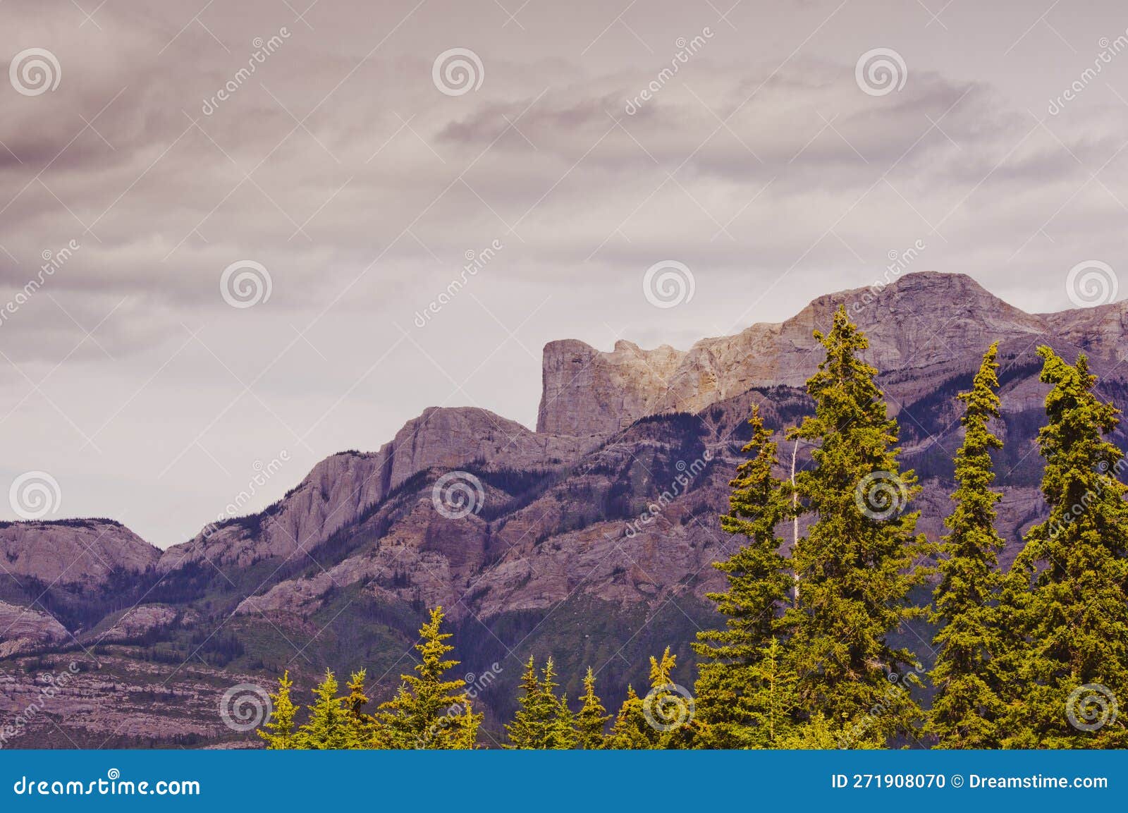 Craggy steep rocky Cliff stock photo. Image of canada - 271908070