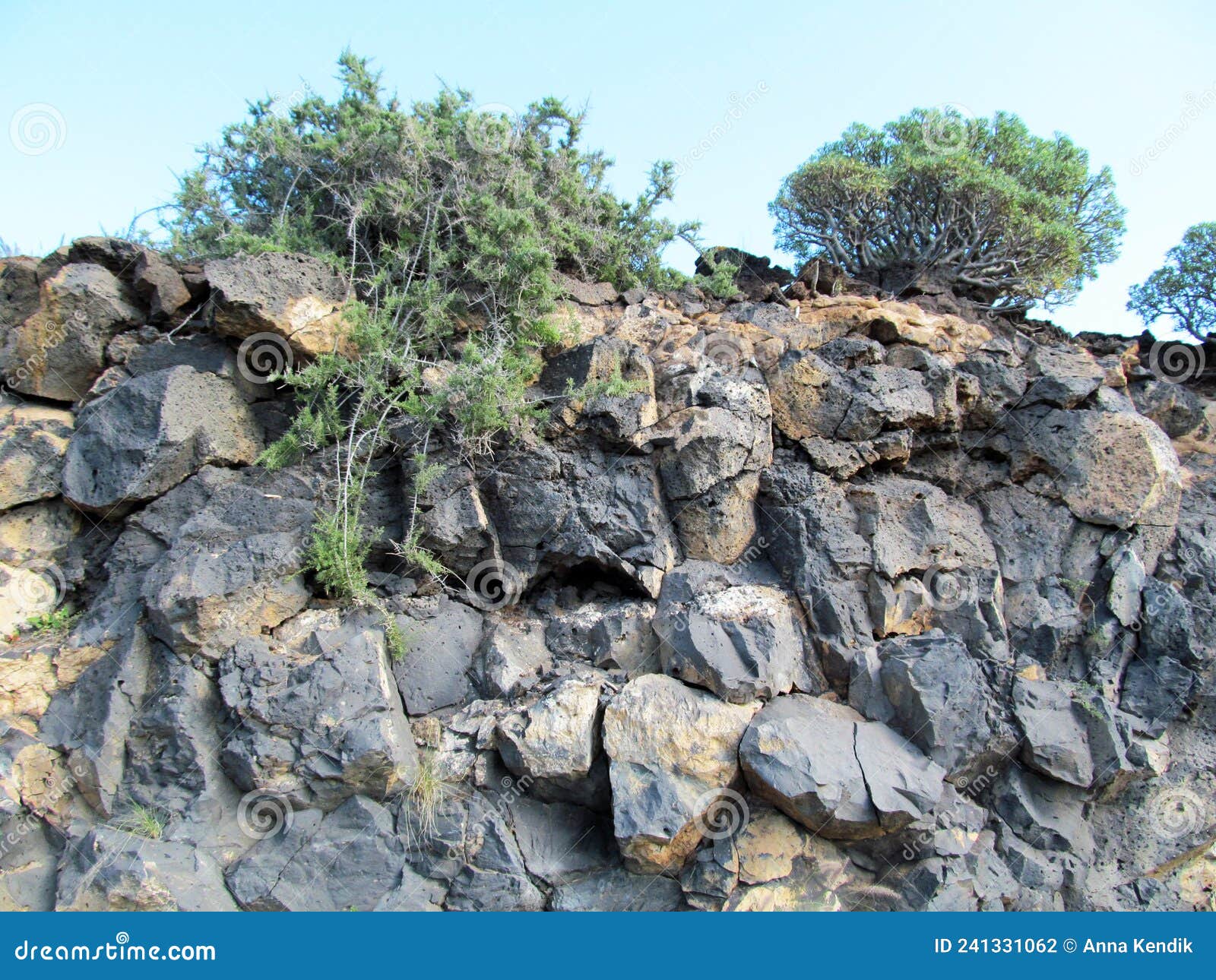 Rocky Cliff with Green Bushes Stock Photo - Image of desert, life ...