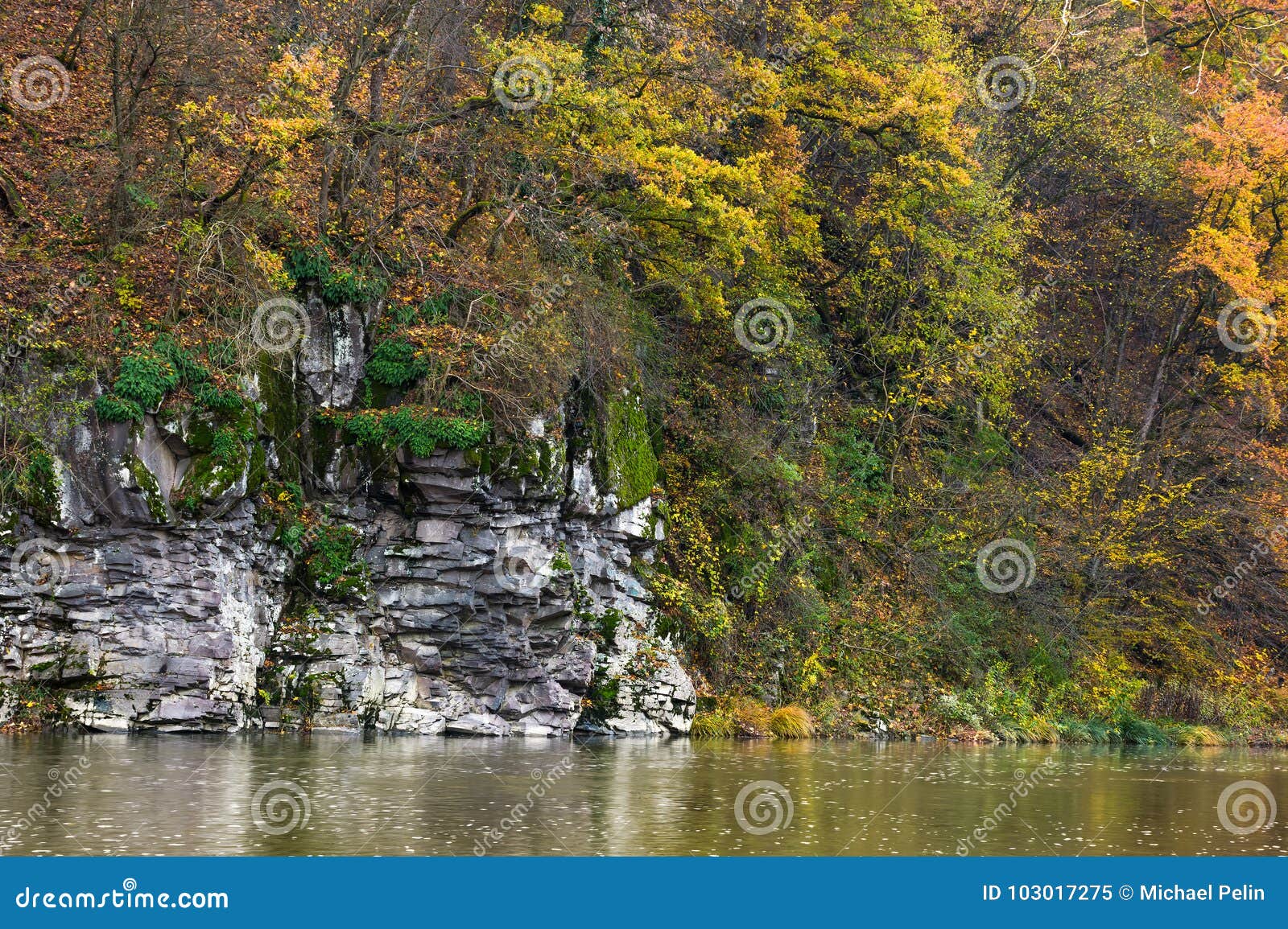 Rocky Cliff Over the River in Forest Stock Image - Image of cliff ...