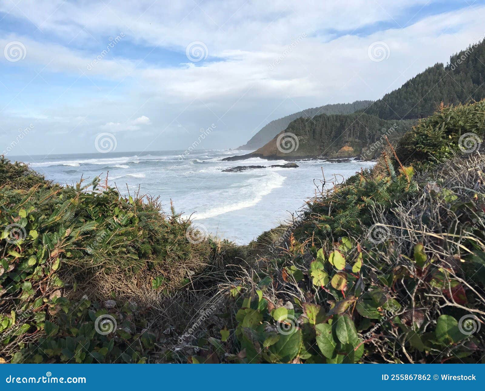 Rocky Cliff Overlooking the Blue Ocean Stock Photo - Image of water ...