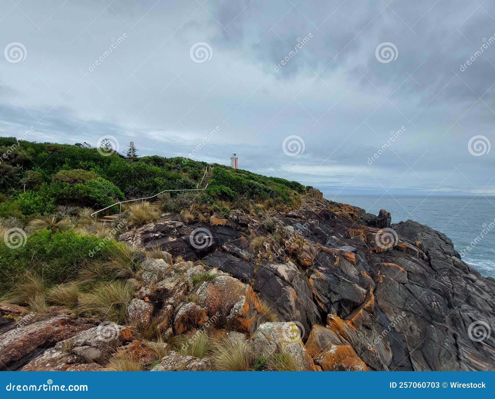 Rocky Cliff Overlooking the Ocean Stock Image - Image of summer ...