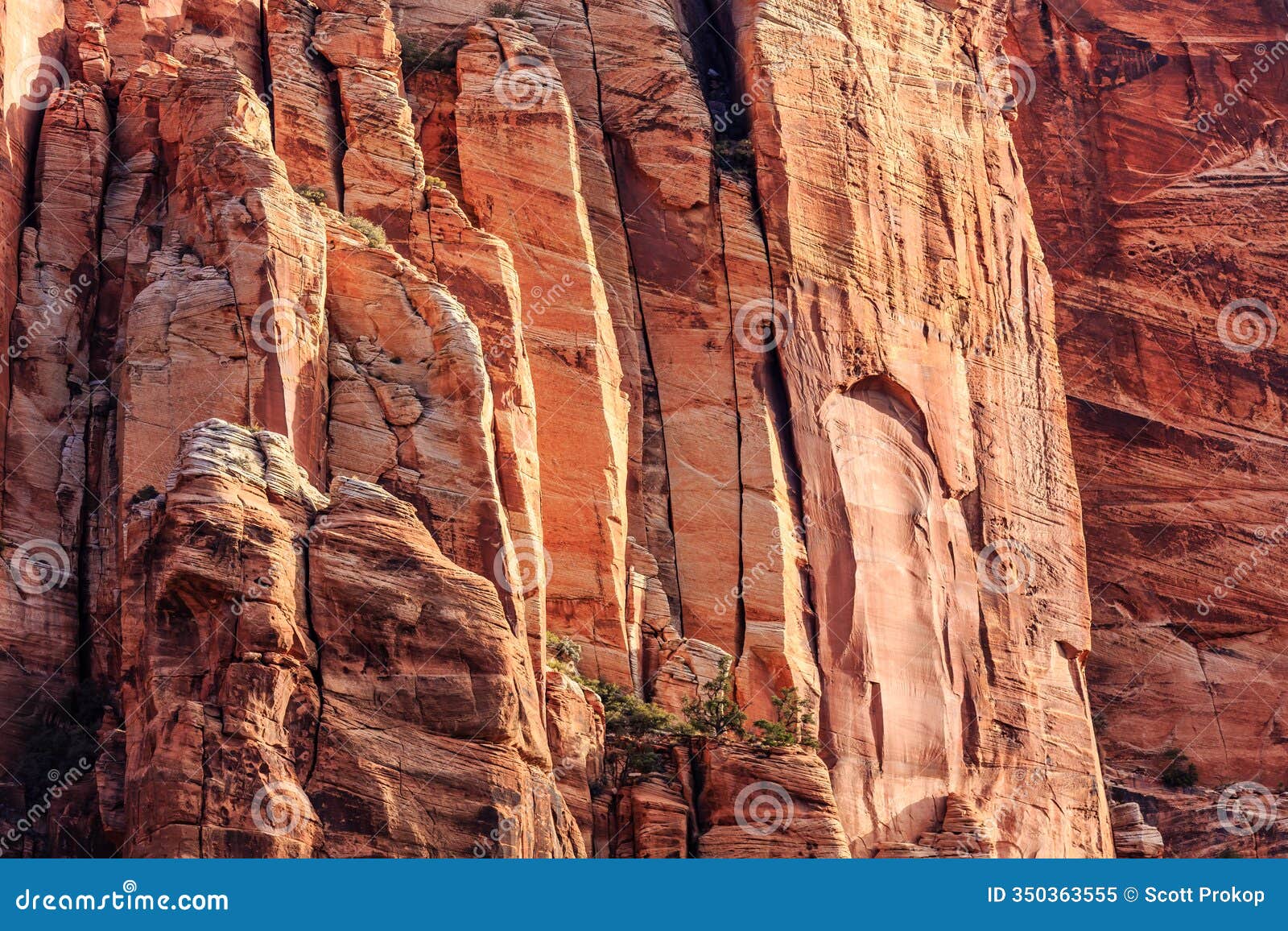 A Rocky Cliff with a Tree Growing Out of it Stock Image - Image of ...