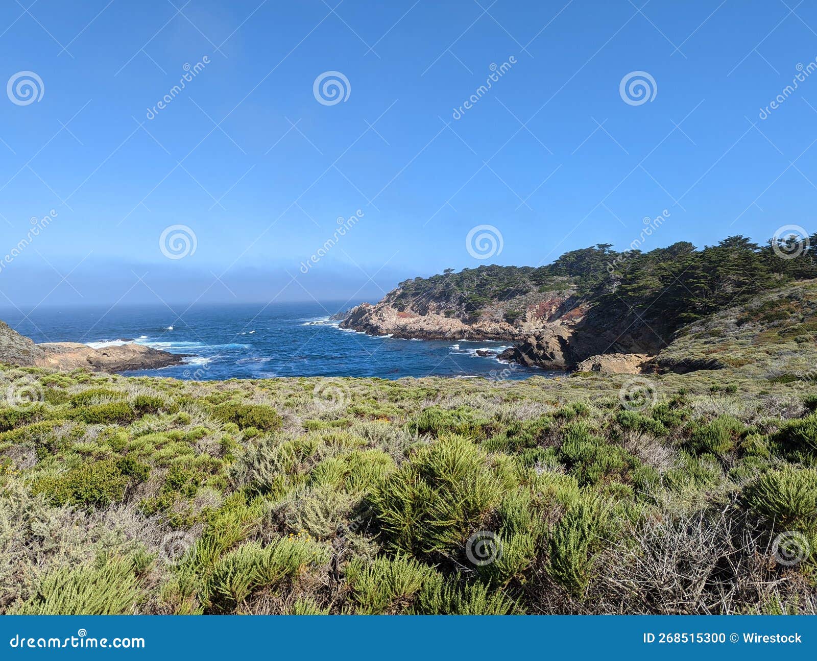 Cliff View on the Beach on a Sunny Day Stock Photo - Image of stone ...
