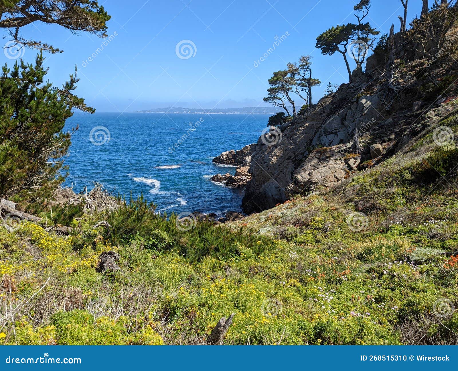 Cliff View on the Beach on a Sunny Day Stock Photo - Image of beach ...