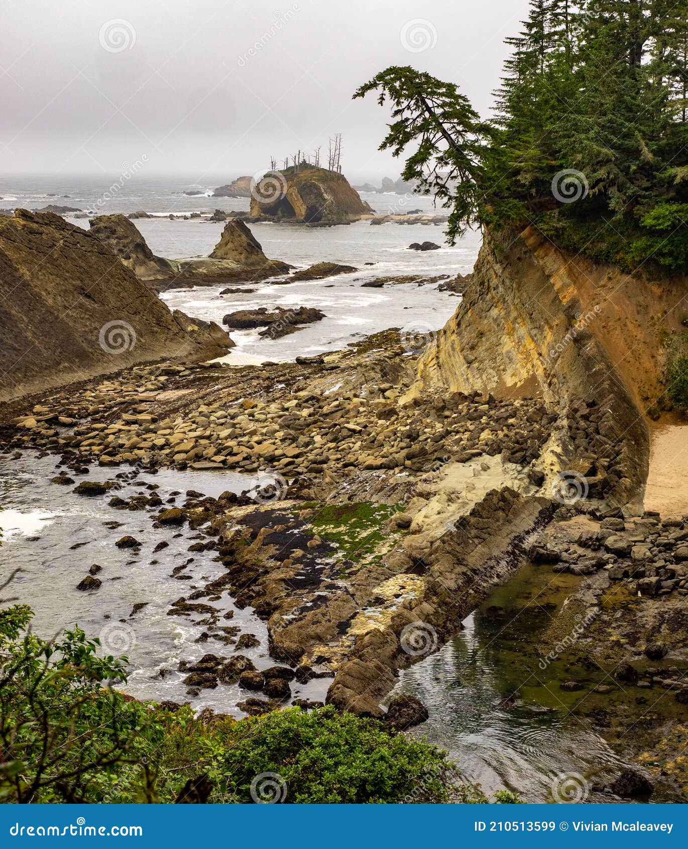 Rocky Cliffs and Trees on the Oregon Coast Stock Image - Image of ...