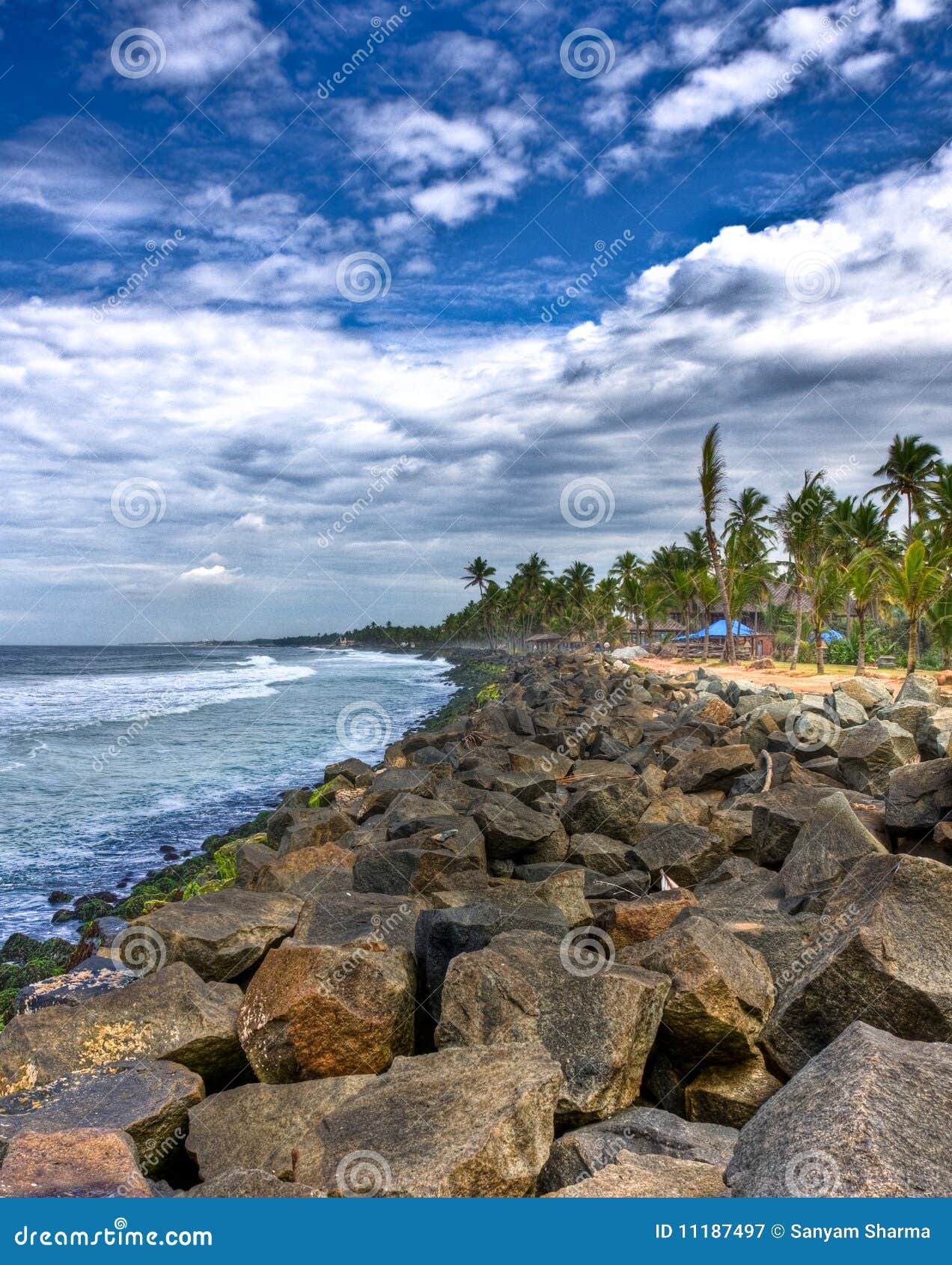 Coast Line With Lighthouse, Dune And Rare Vegetation In The Background ...