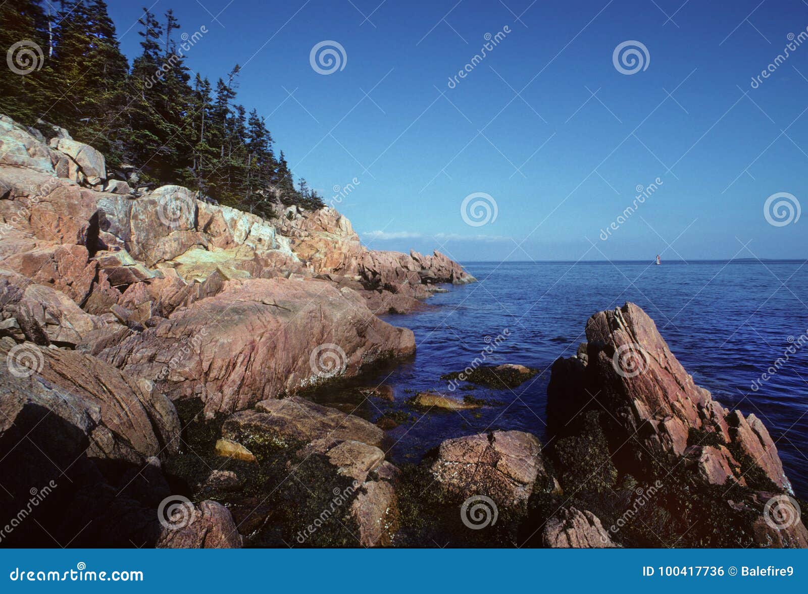 Rocky Coastline Along the Maine Shore Stock Photo - Image of rocky ...
