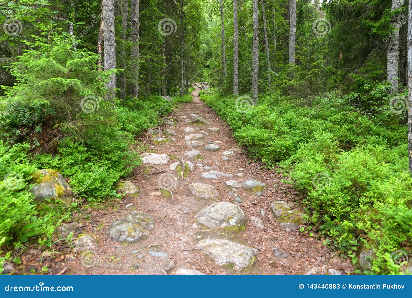 Rocky country road stock image. Image of wild, scenic - 143440883