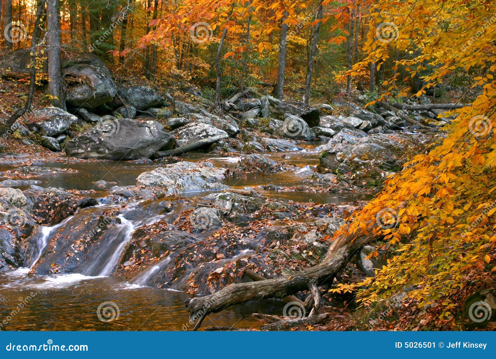Rocky creek autumn forest stock image. Image of calm, leaf - 5026501