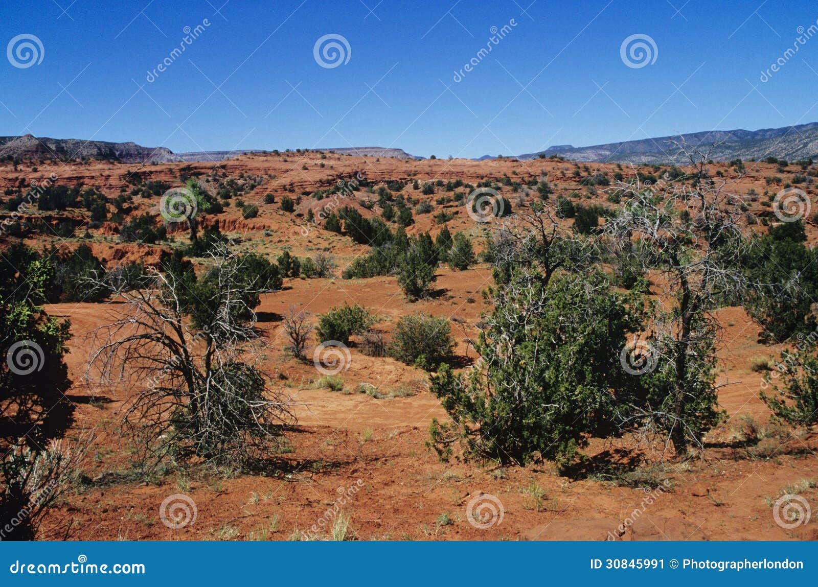 Rocky desert landscape stock image. Image of destinations - 30845991