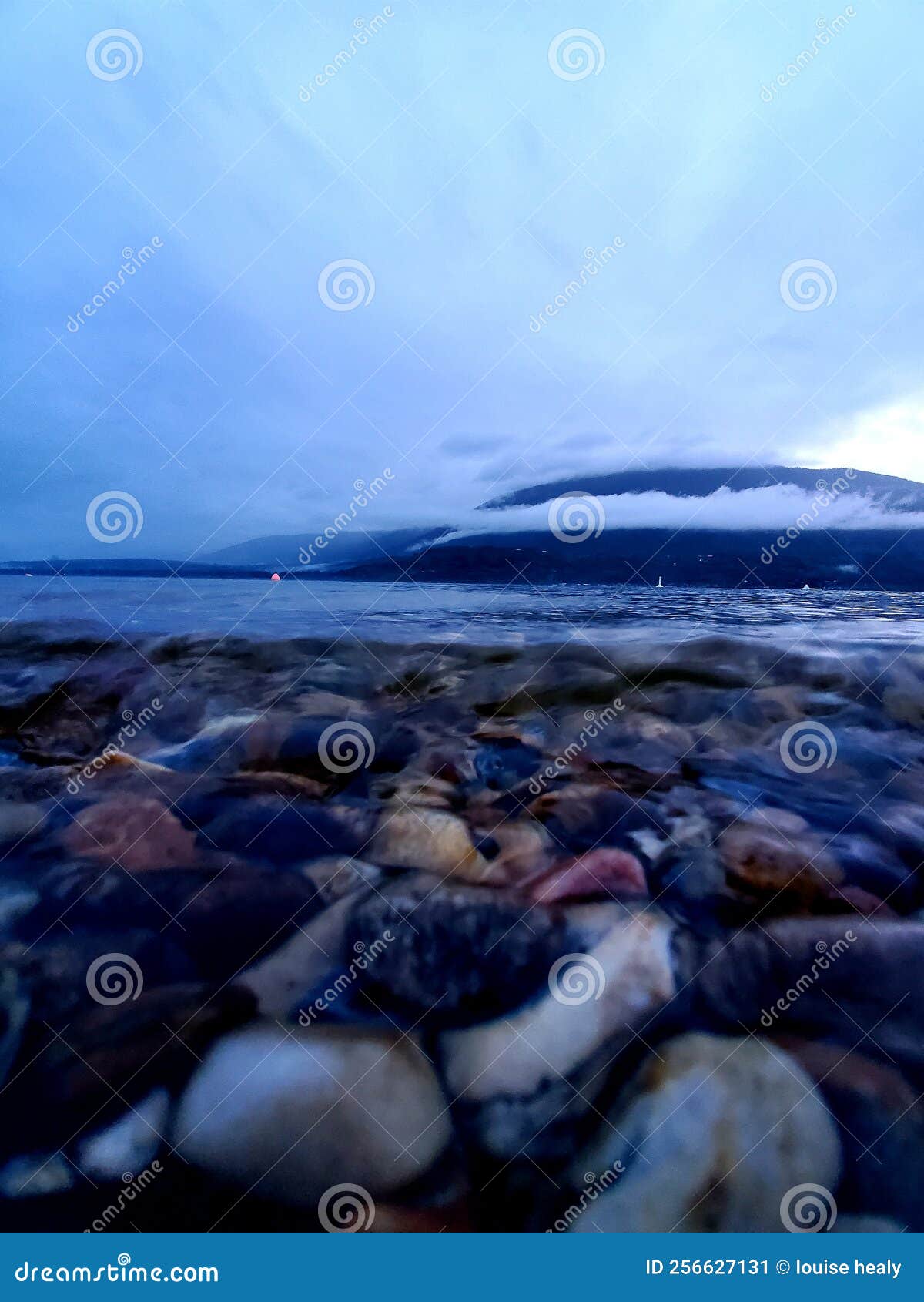 Rocky edge stock image. Image of reflection, rocky, morning - 256627131
