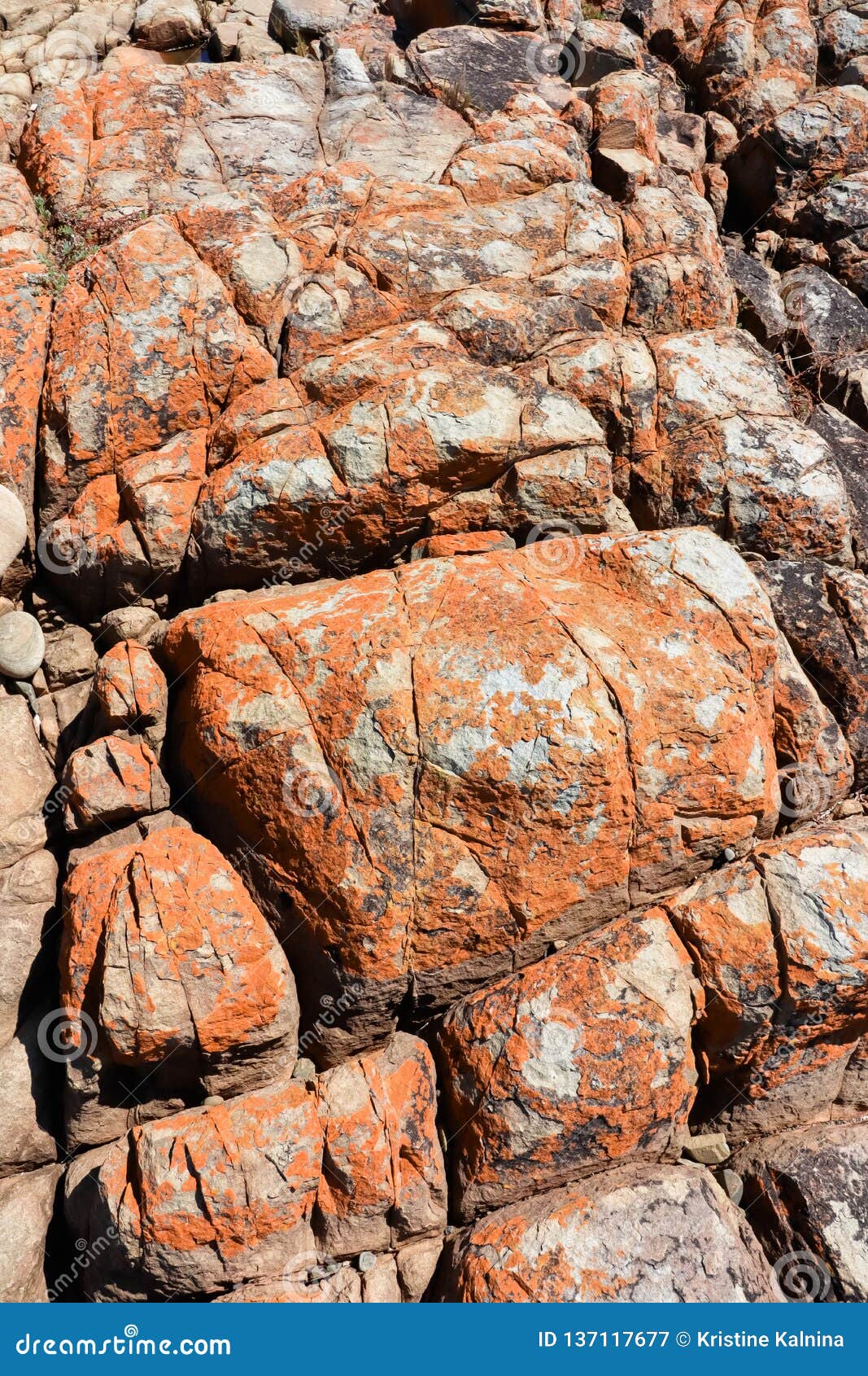 Rocky Exposed Sea Bed - Vertical Stock Image - Image of ocean, cracks ...