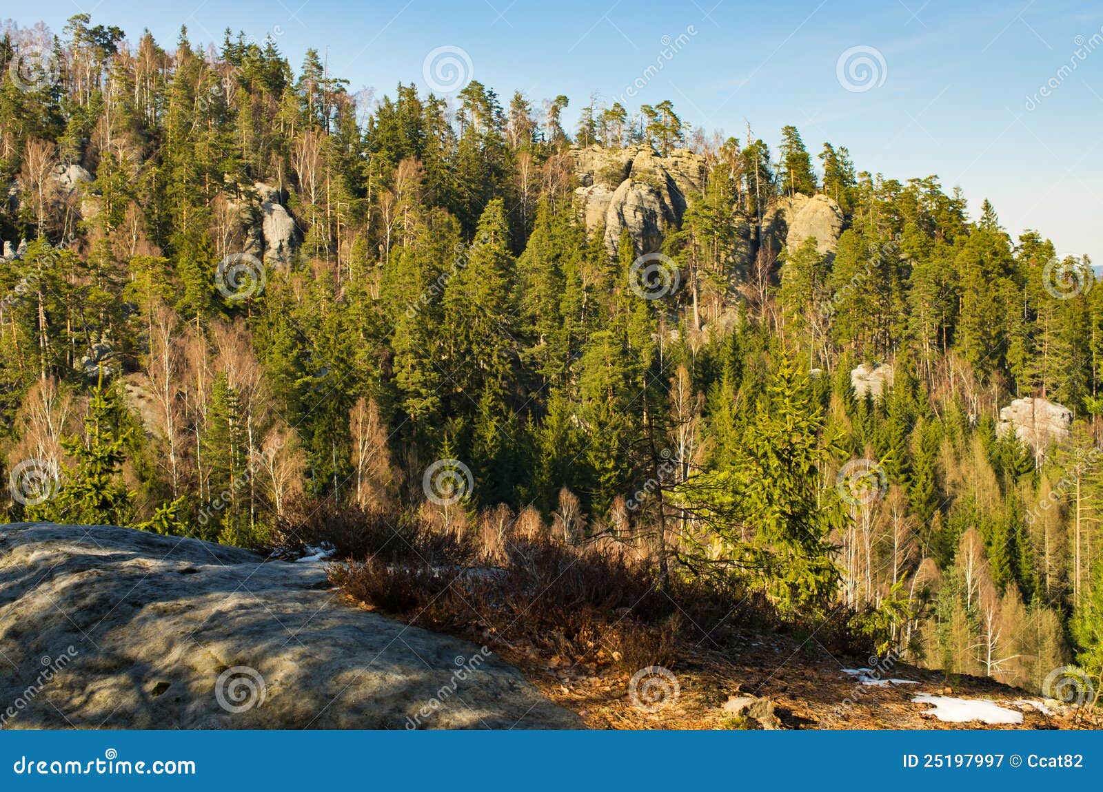 Rocky forest stock image. Image of high, area, natural - 25197997