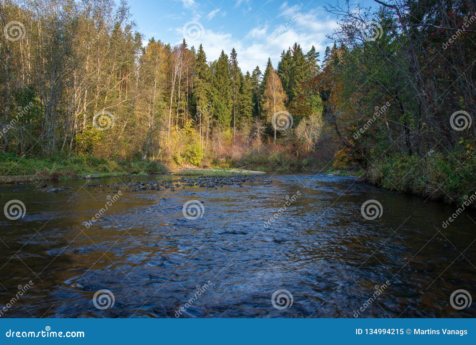 Rocky Forest River with Low Stream in Summer Stock Image - Image of ...
