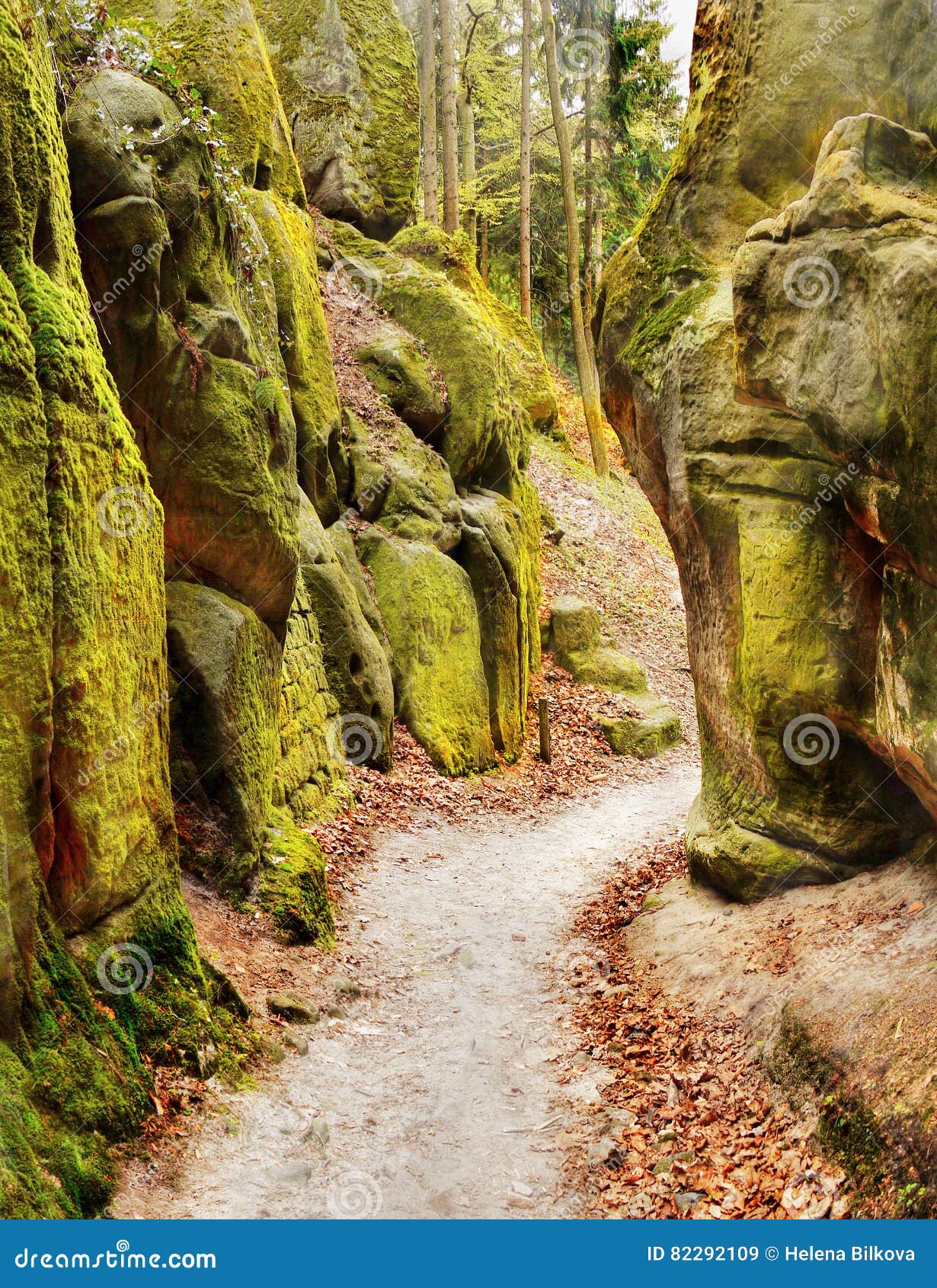 Rocky Gorge Trail stock image. Image of underground, nature - 82292109