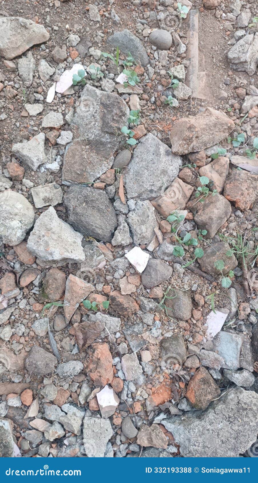 Rocky Gravel Ground Surface with Small Plants Growing Stock Photo ...