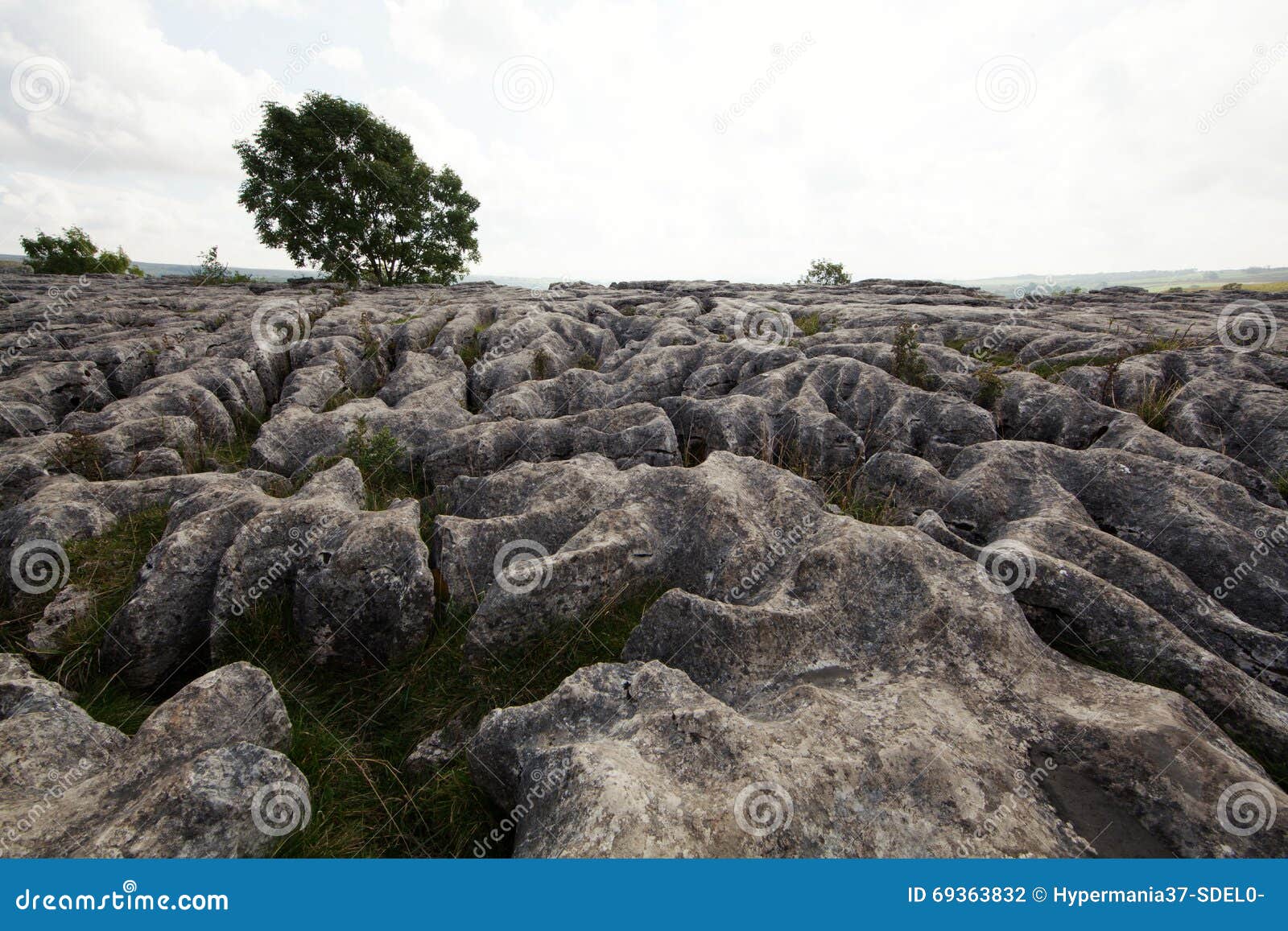 401 Plateau Ground Rocky Mountain Stock Photos - Free & Royalty-Free ...