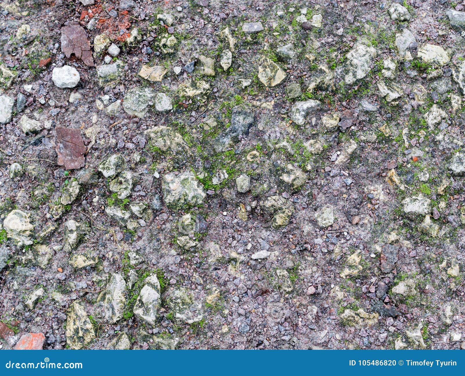 Rocky Ground With Moss Texture. Background. Stock Photo - Image of road ...