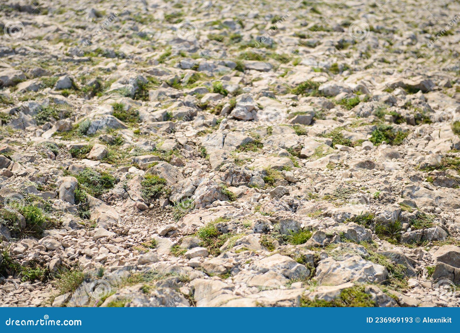 Rocky Ground Surface with Green Grass Stock Image - Image of scenic ...