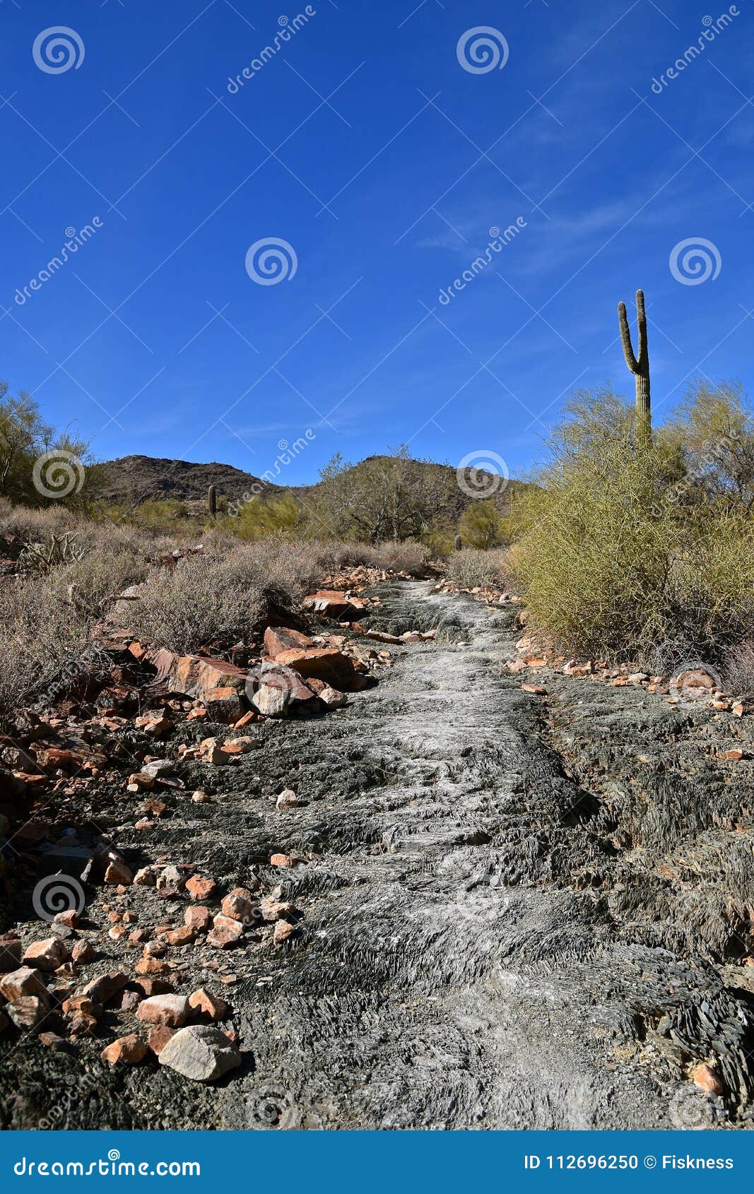 Rocky Hiking Path in a Desert Setting Stock Photo - Image of arizona ...