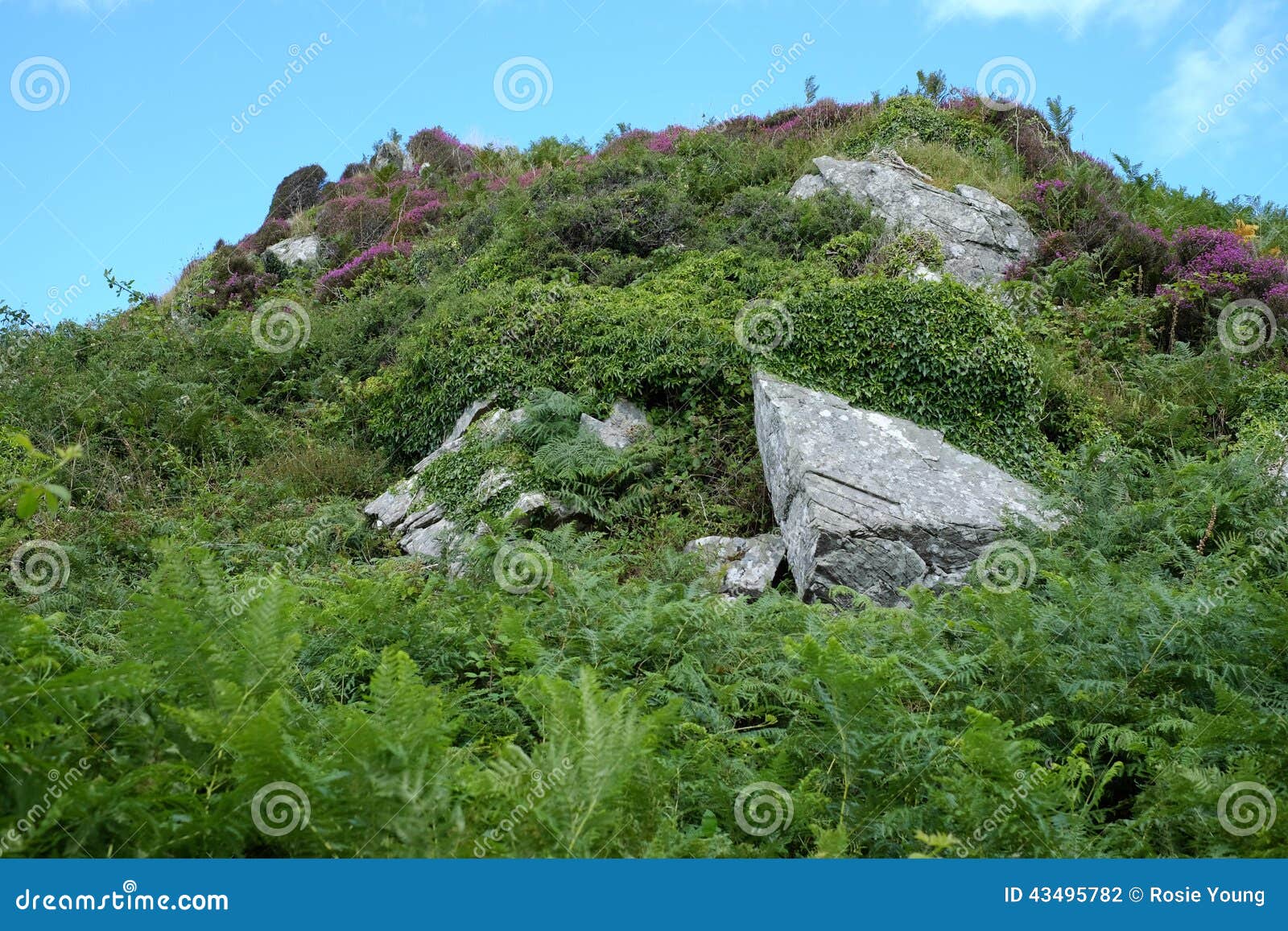 Rocky hillside, Islay stock photo. Image of hillside - 43495782