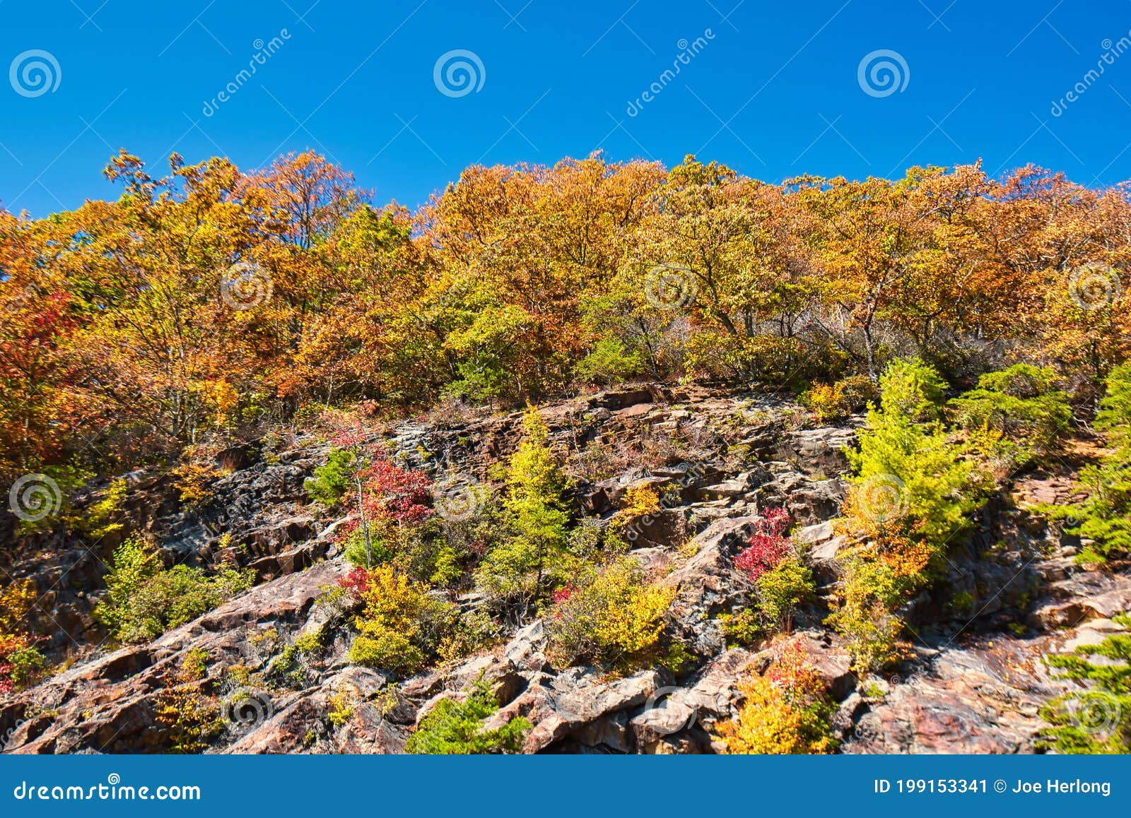 A Rocky Hillside with Trees on Top with Fall Colors. Stock Image ...