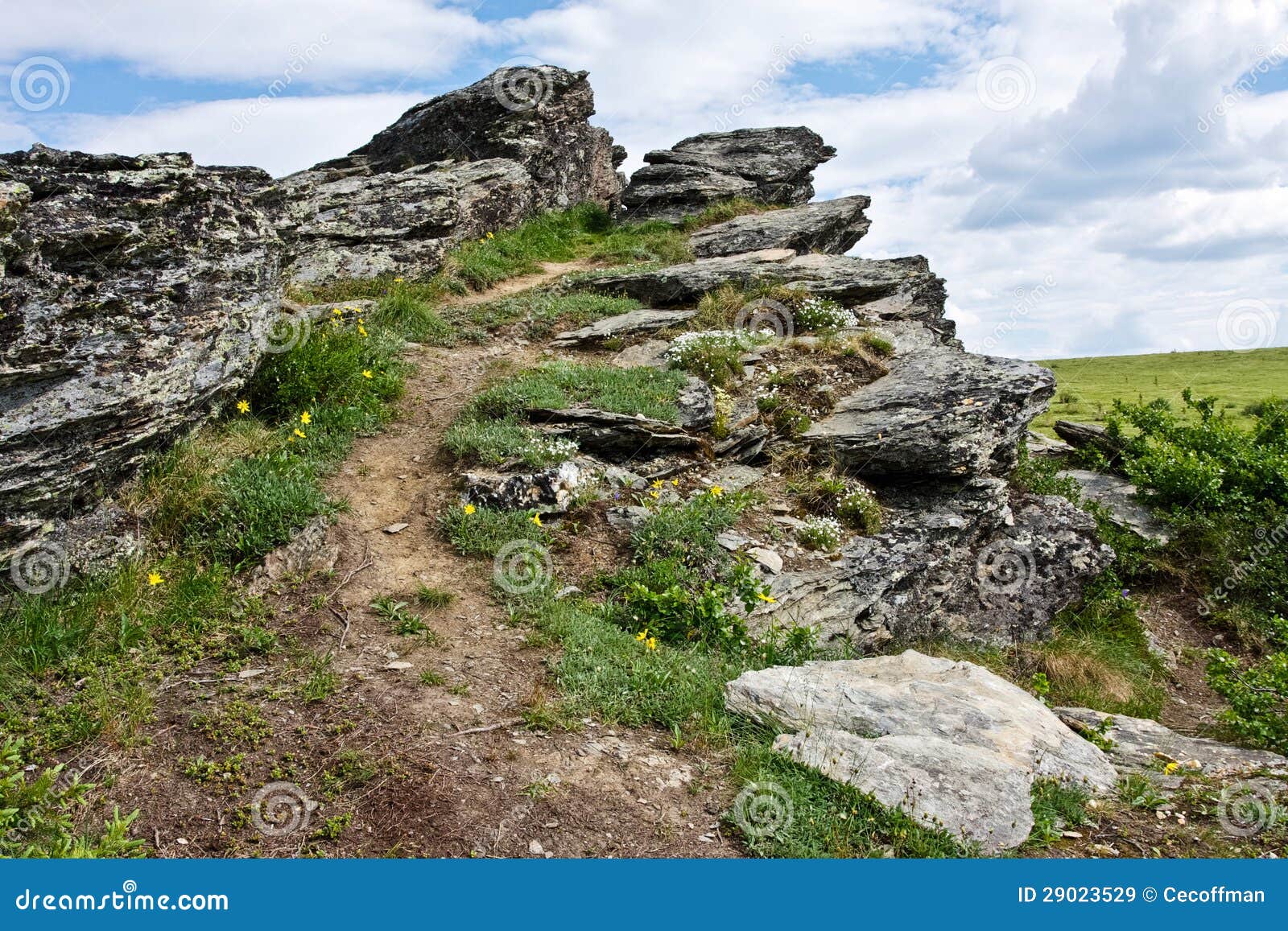 Rocky Knoll stock image. Image of tree, fairbanks, interior - 29023529