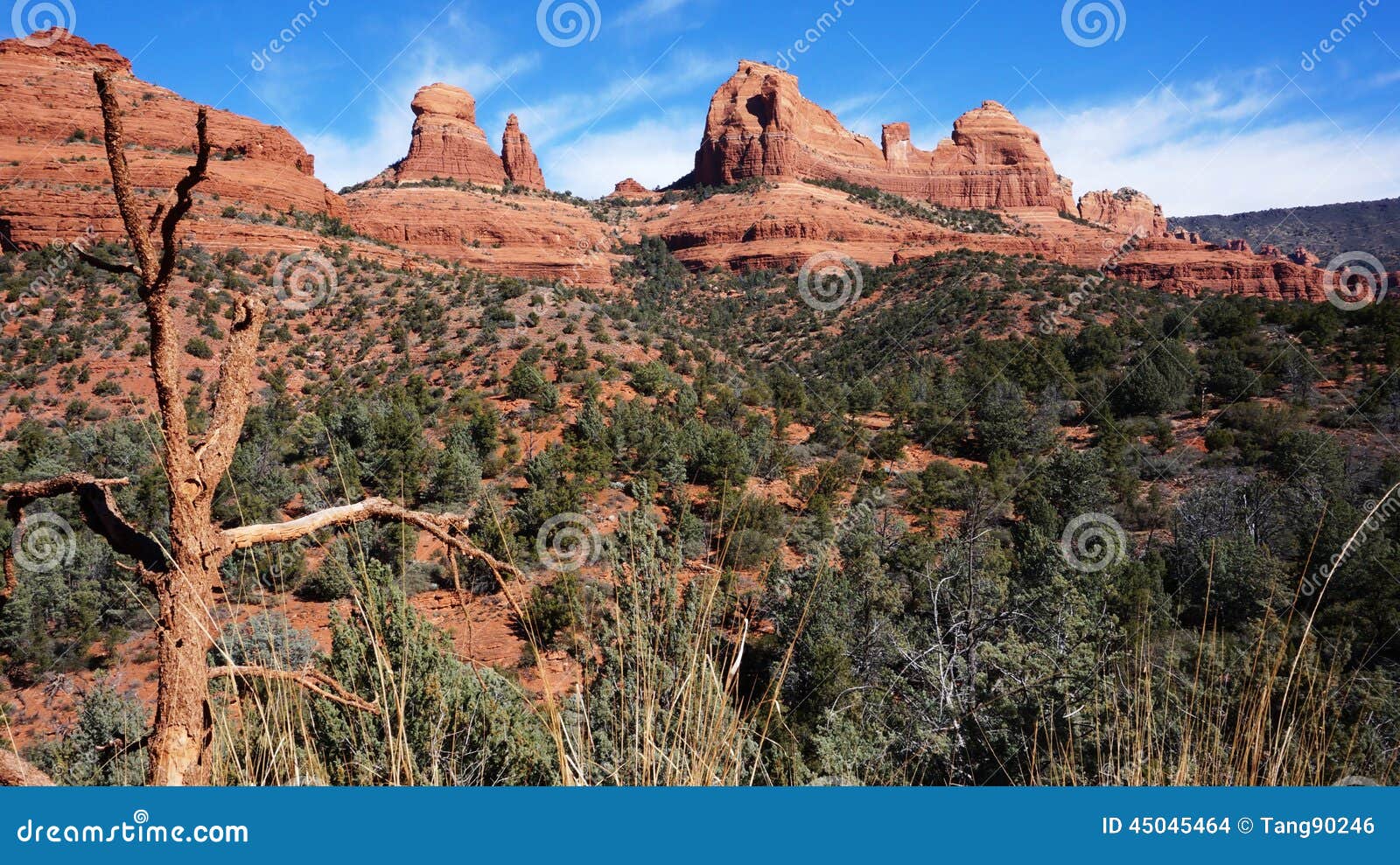 Rocky Mountain in Arizona, U.S.a. Fotografia Stock - Immagine di ...