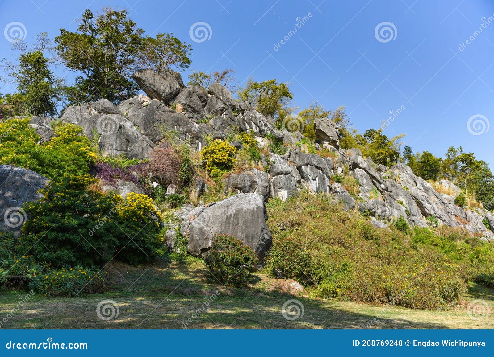 Rocky Mountain at Asian Nature Mountain Stone with Tree Plant Stock ...