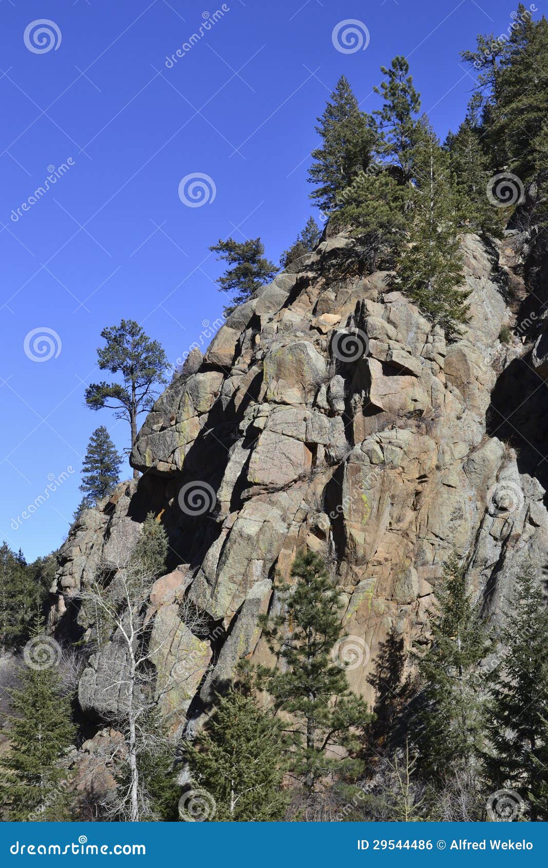 Rocky Mountain Cliff and Pine Trees Stock Photo - Image of backpackers ...