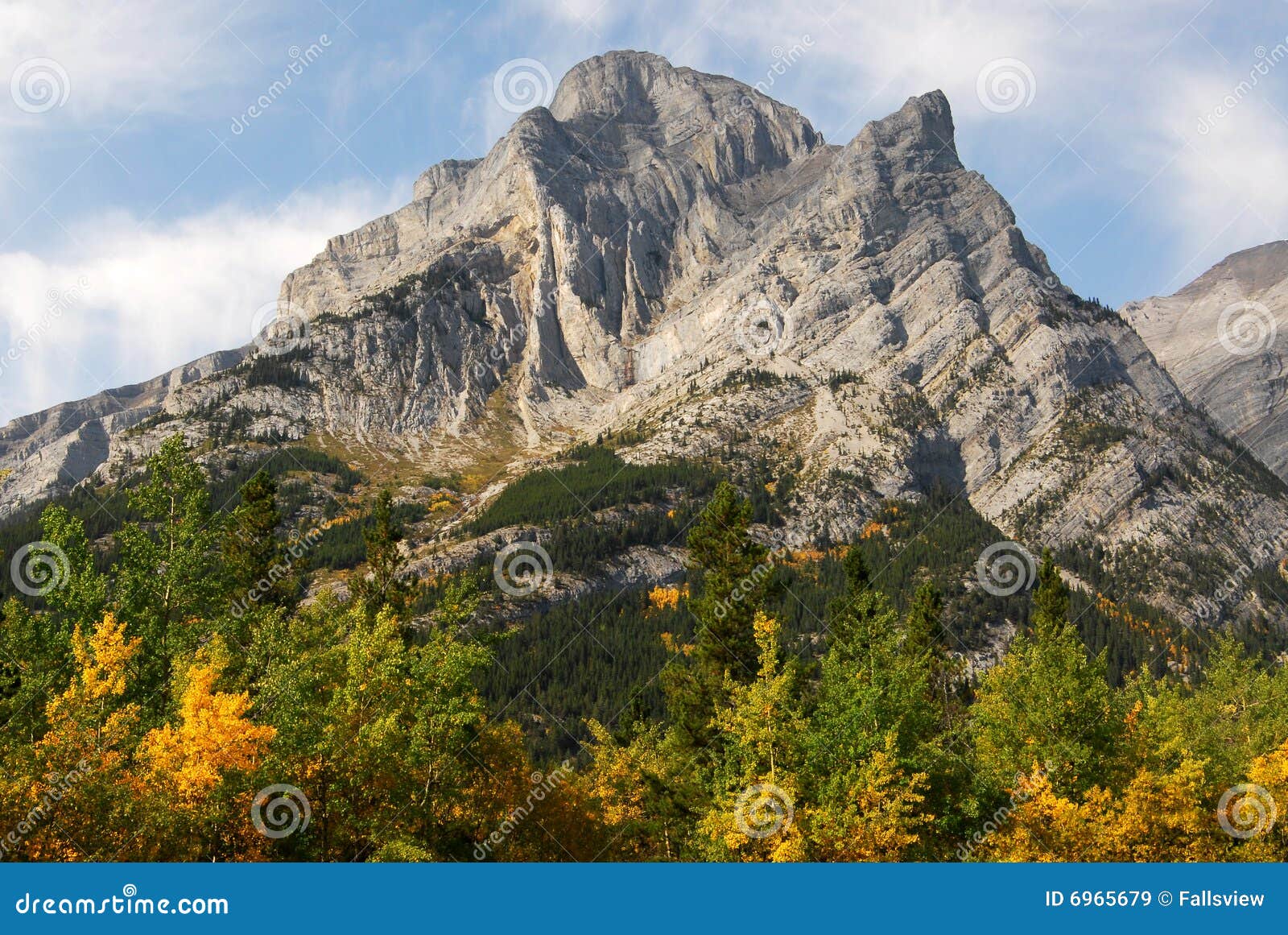 Rocky mountain and forest stock image. Image of alberta - 6965679