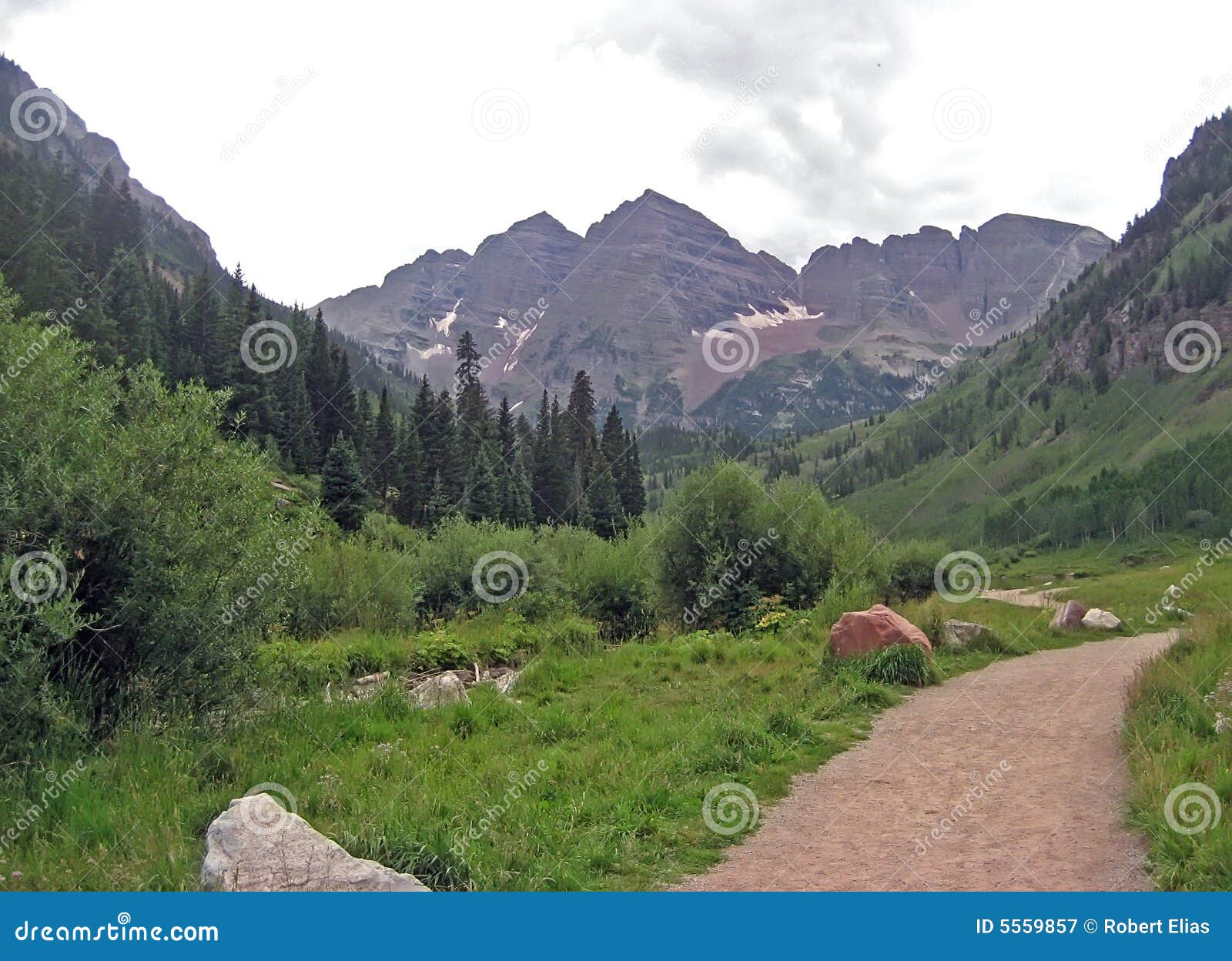 Rocky Mountain Path stock image. Image of nature, camping - 5559857