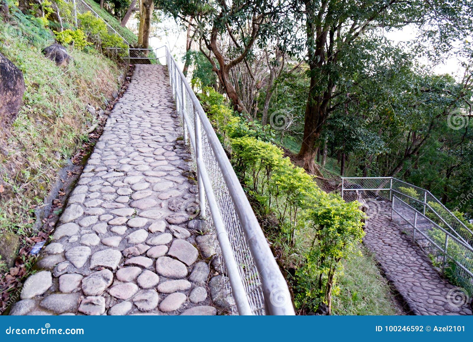 Rocky Mountain Pathways stock photo. Image of background - 100246592