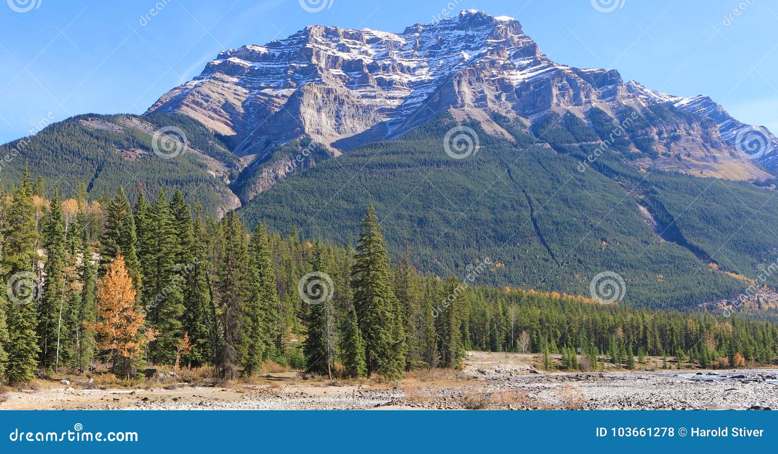 Rocky Mountain Peak with Trees in Foreground Stock Photo - Image of ...