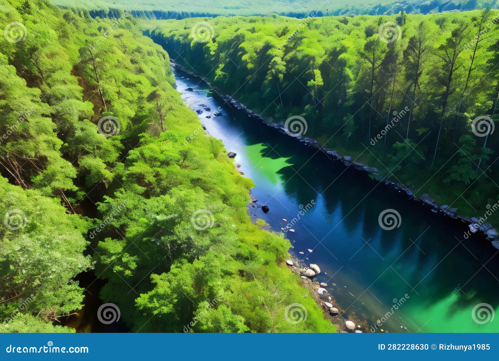A Rocky Mountain River in a Dense Forest Stock Illustration ...