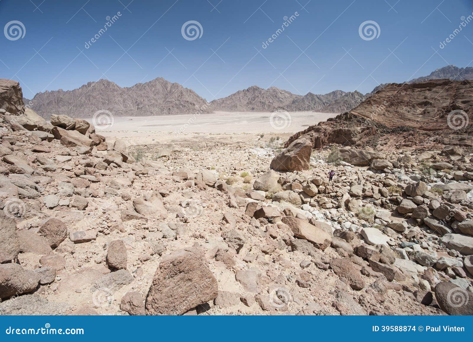 Rocky Mountain Slope in a Desert Stock Photo - Image of rocky, gully ...