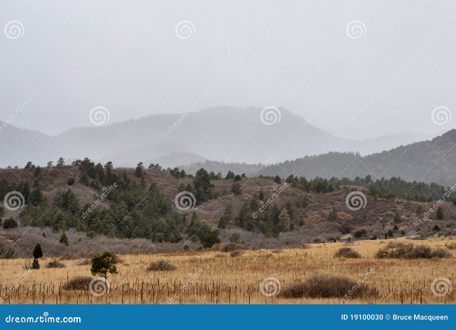 Rocky Mountain Snow Storm stock photo. Image of landscape - 19100030
