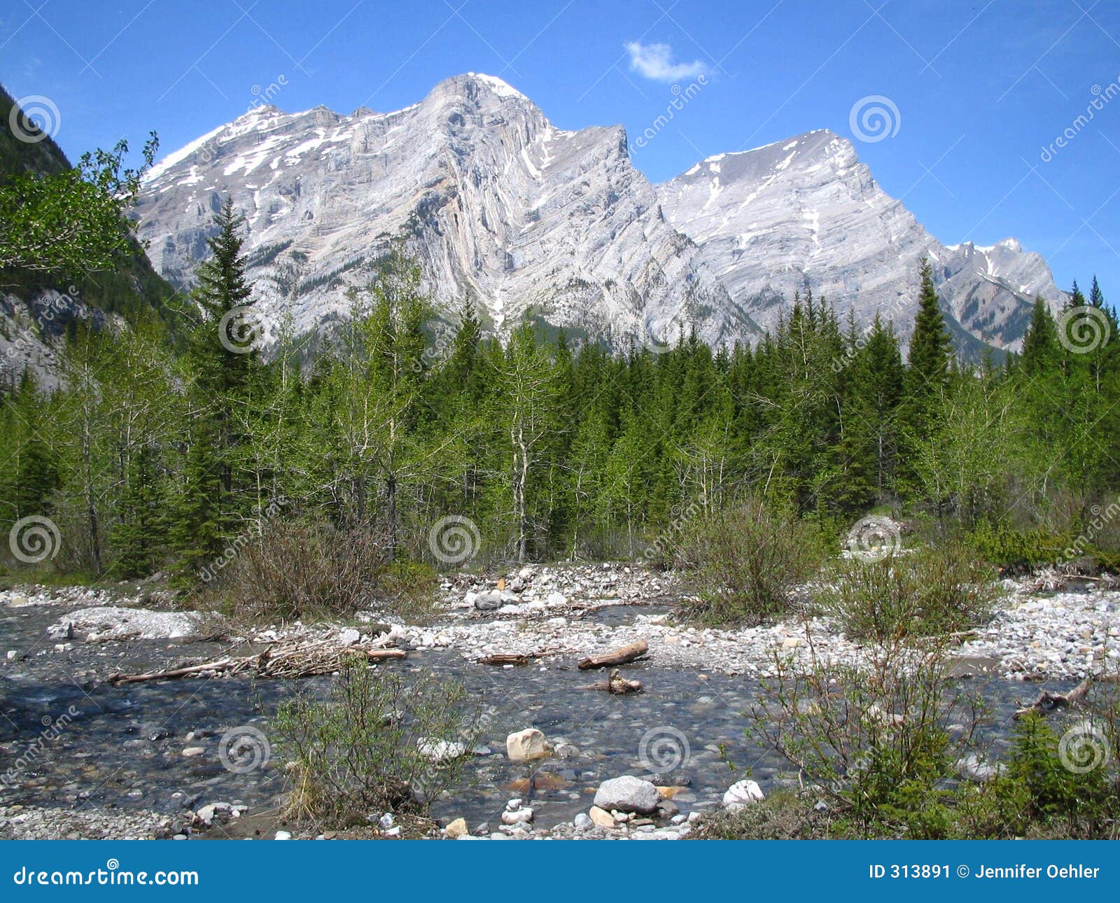 Rocky Mountain Spring stock image. Image of landscape, majestic - 313891
