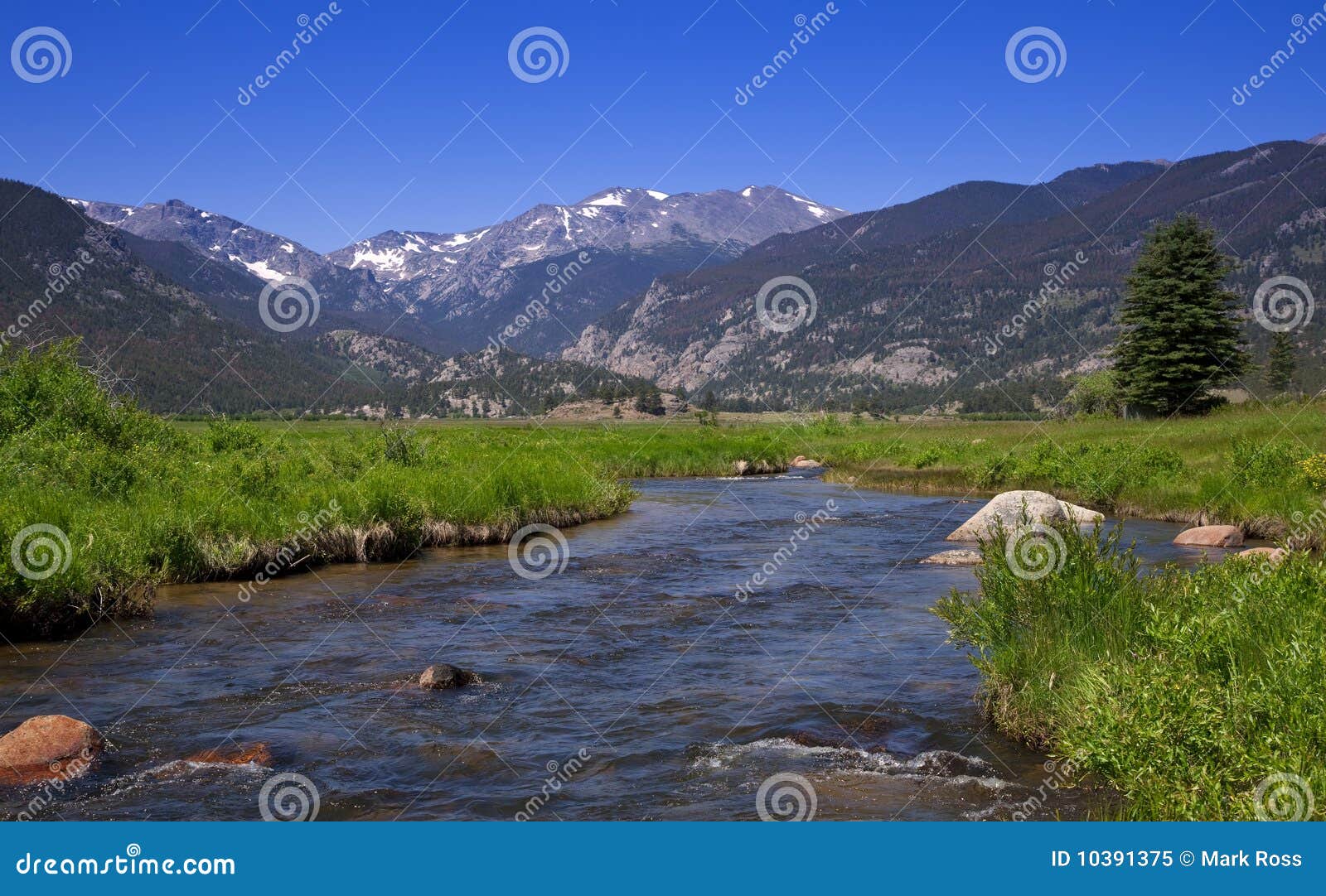 Rocky Mountain Stream stock image. Image of rocky, travel - 10391375